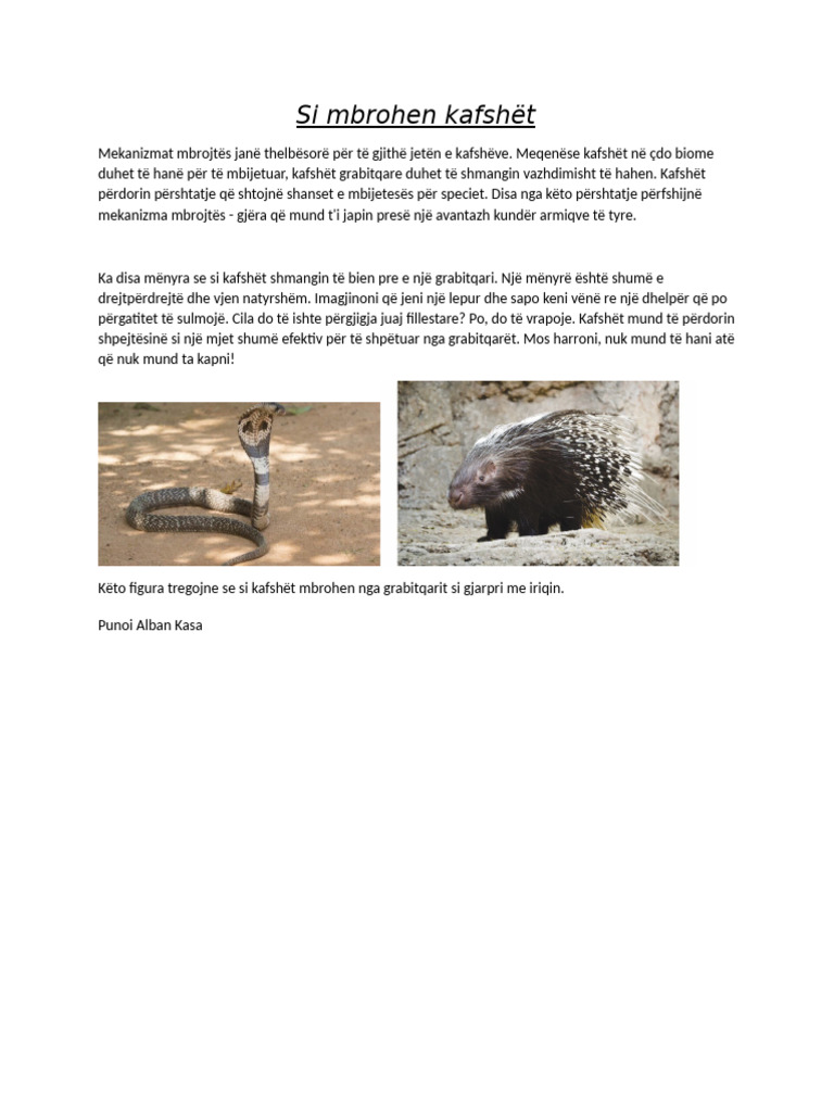 Si Mbrohen Kafshët | PDF