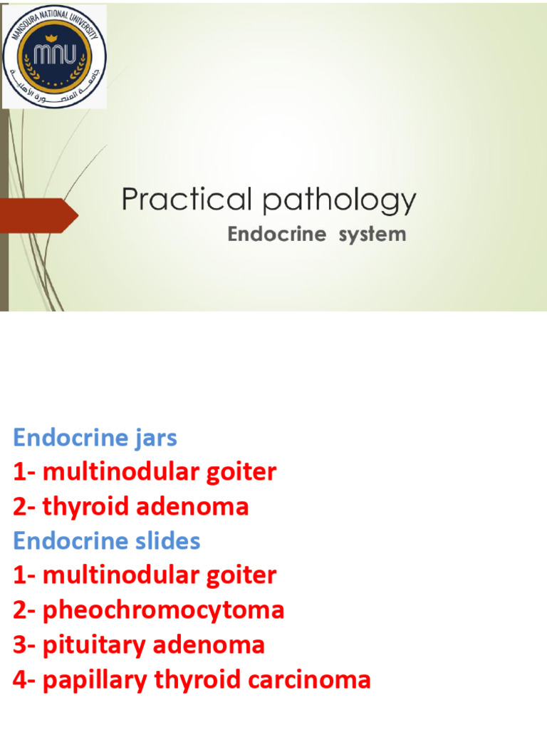 Endocrinepracticalrevision 1 | PDF