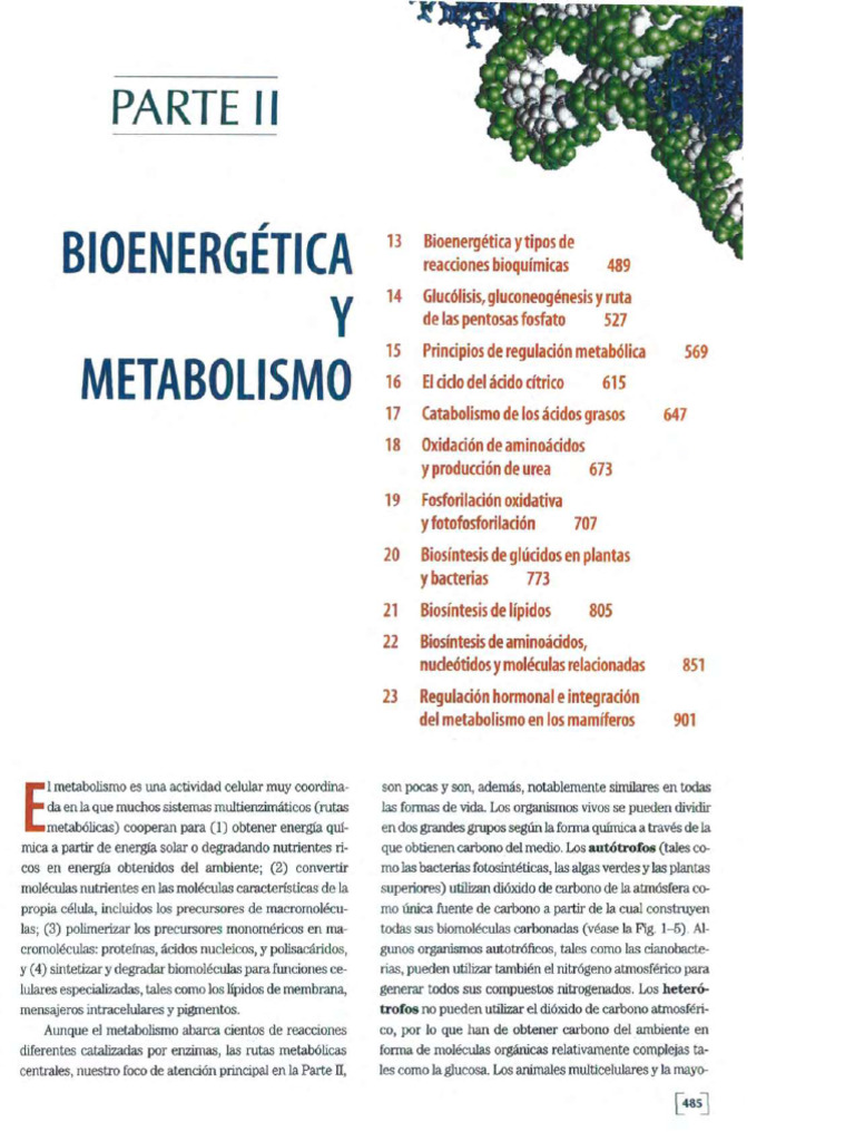 Introducción Al Metabolismo - 5ta Edición Lehninger | PDF