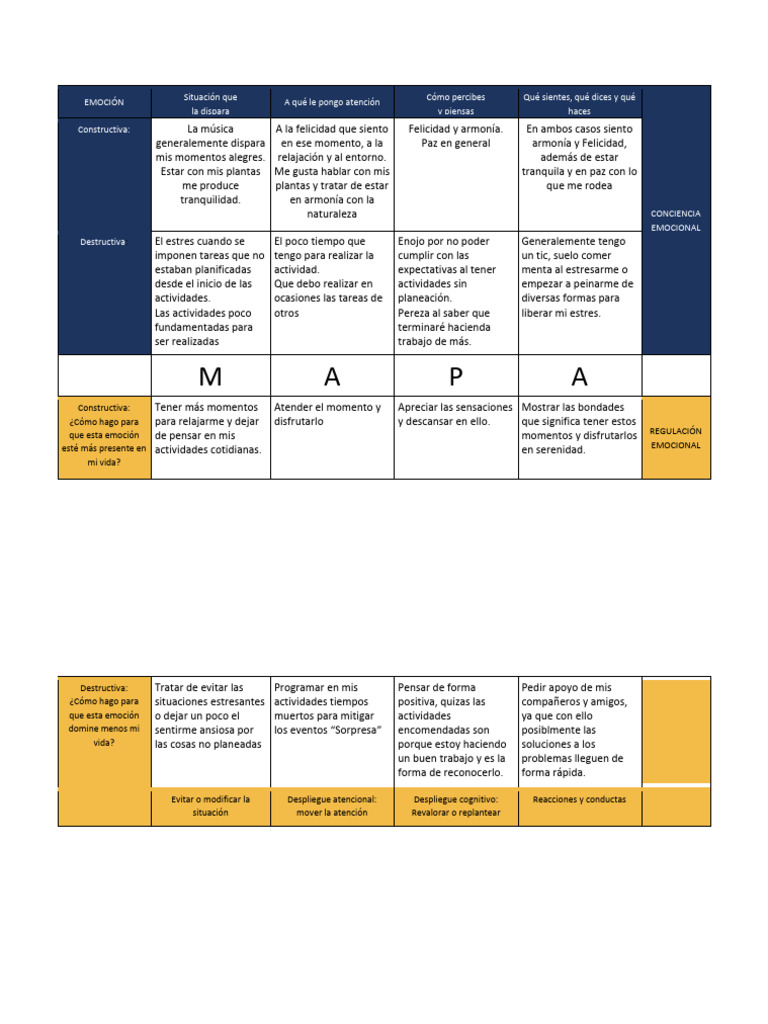 Regulación de Emociones: Estrategias Clave | PDF | Las emociones ...