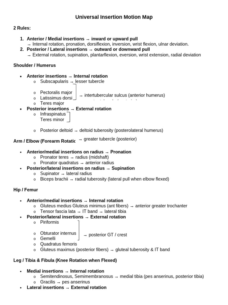 Muscle Insertion Motion Guide | PDF | Anatomical Terms Of Motion | Foot