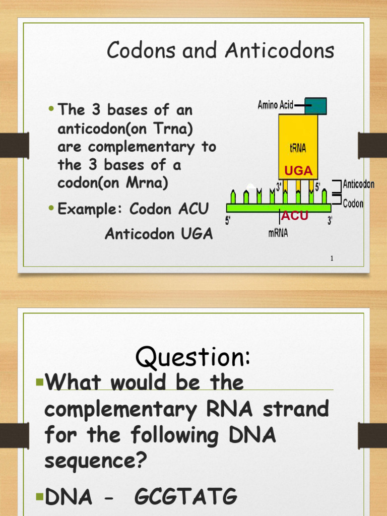 Genetic Code - PPT 27-08 | PDF