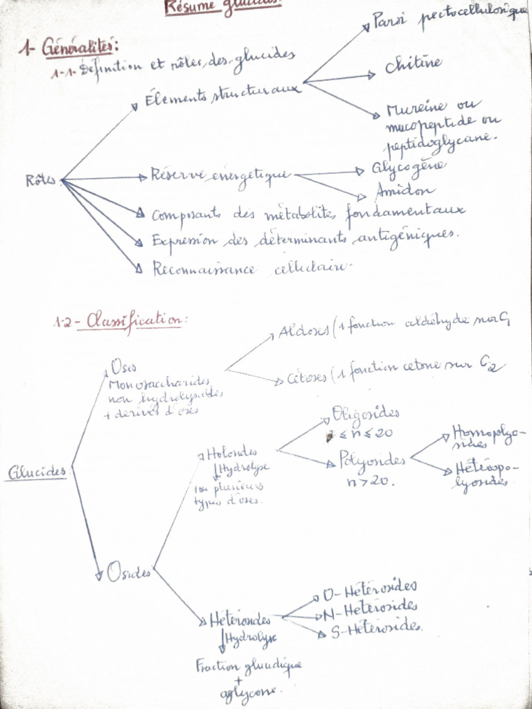 Résumé Glucide Urbain | PDF