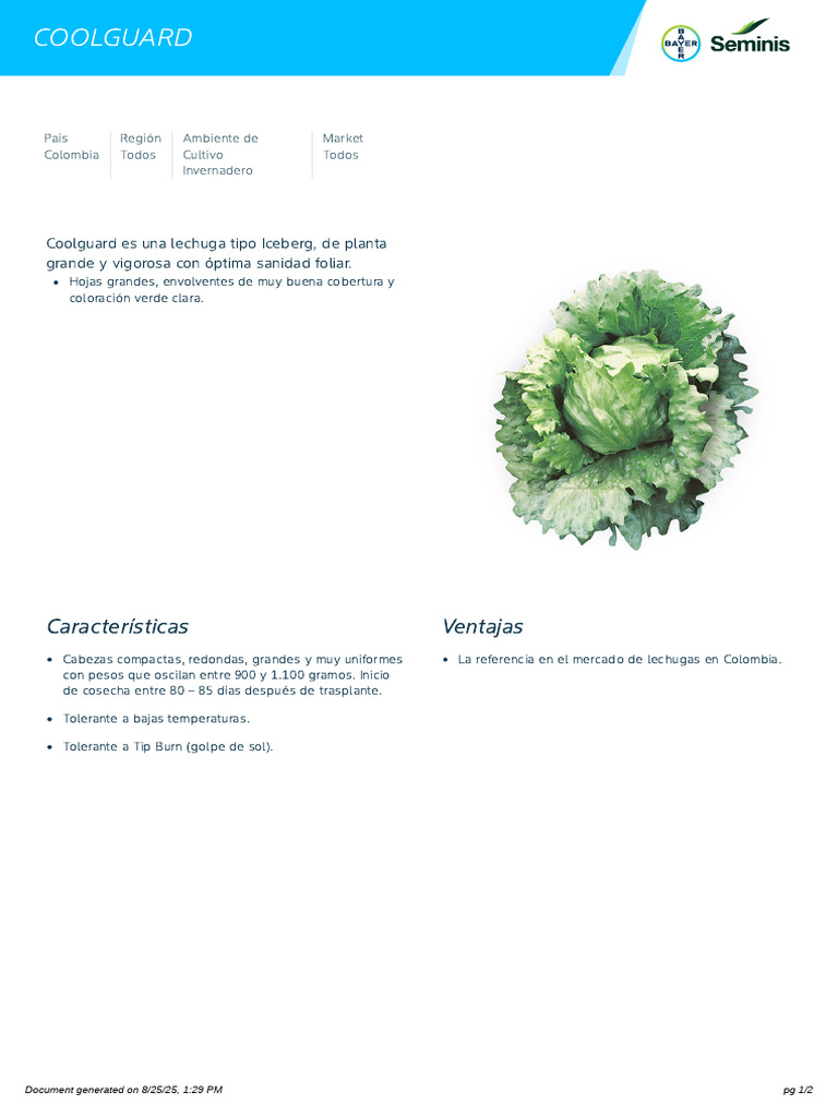 Lechuga Coolguard: Características y Ventajas | PDF