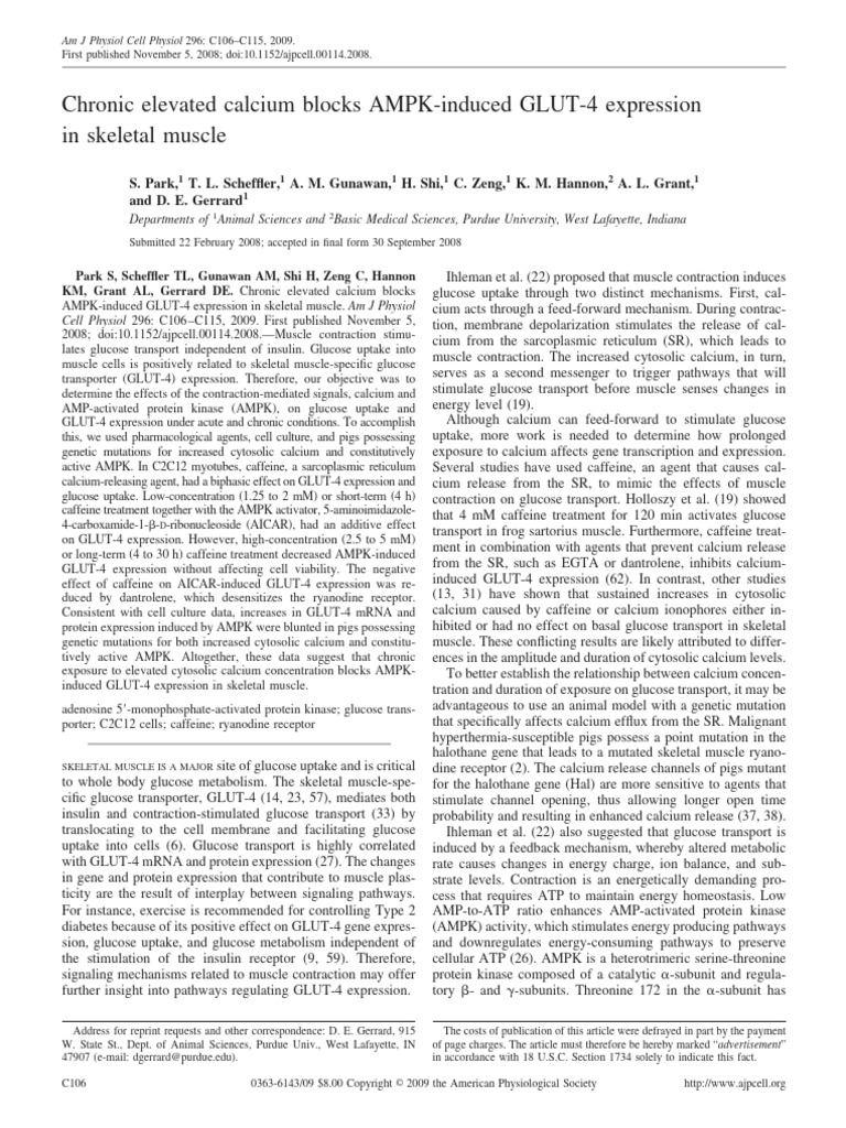 Calcium's Impact on GLUT-4 in Muscle | PDF | Skeletal Muscle | Kinase