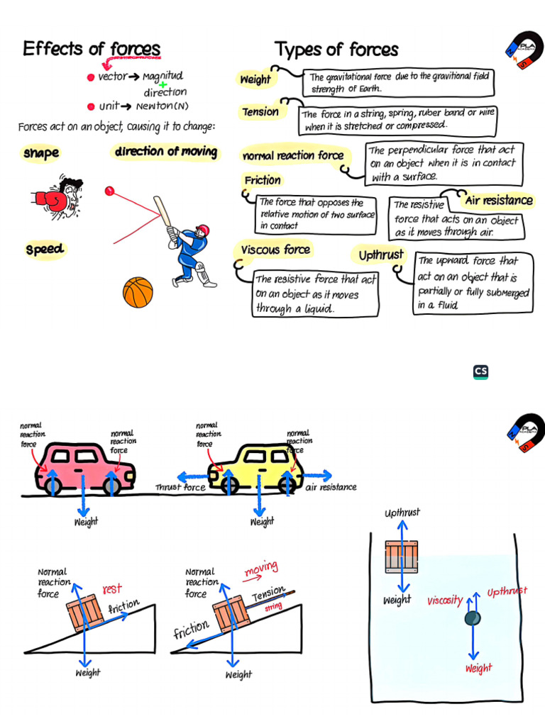 Effects of Forces | PDF