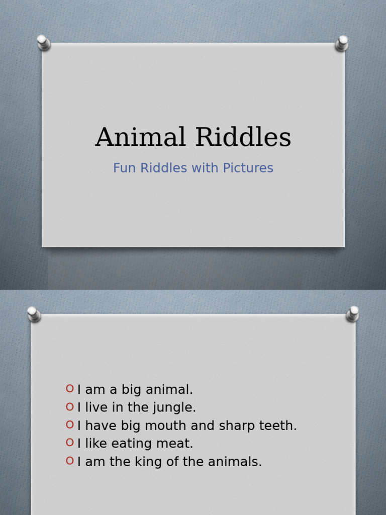 Animal Riddles Presentation | PDF