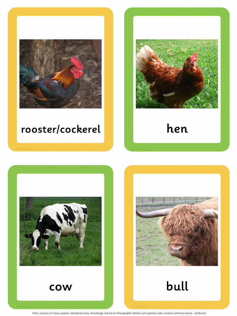 T T 24877 Male and Female Animal Names Matching Cards Ver 1 | PDF