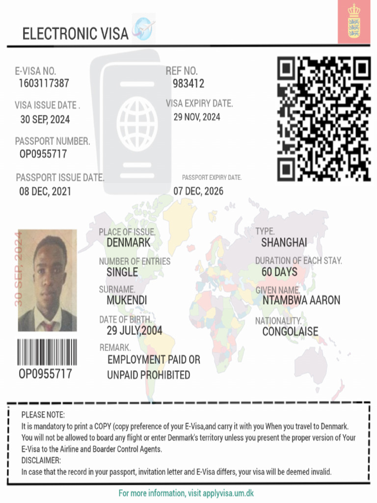 Electronic Visa. | PDF