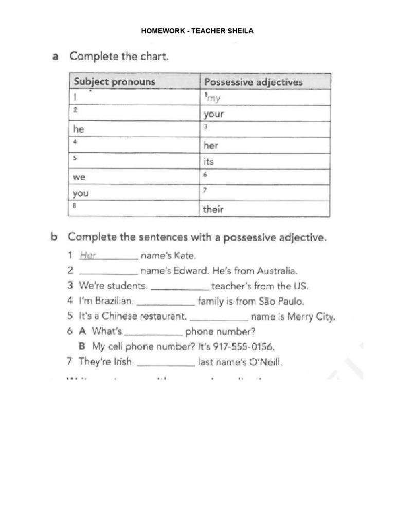 Homework - Possessive Adjectives | PDF