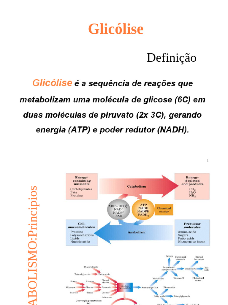 Aula Glicólise | PDF | Glicolise | Biomoléculas