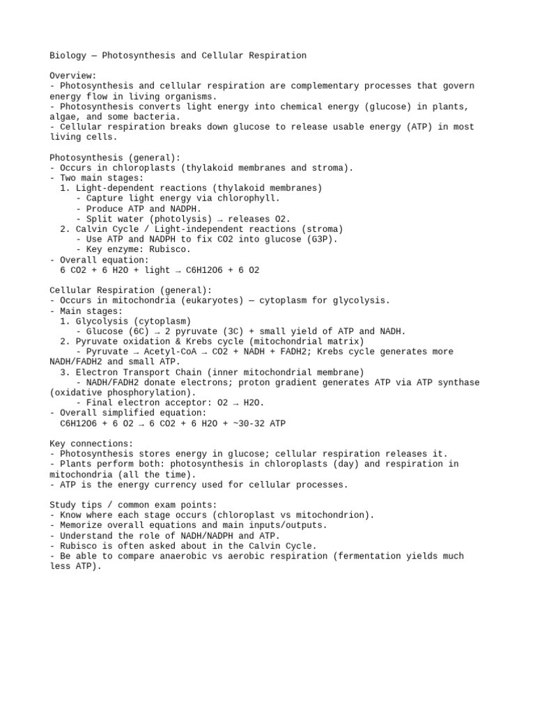 Photosynthesis & Cellular Respiration Guide | PDF