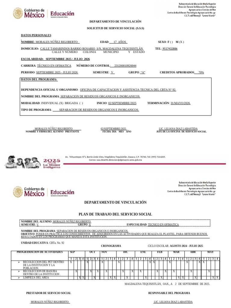 Copia de Copia de Mi Servicio Social Celina Mtz | PDF