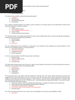 Protocol Officer Responsibilities Overview | PDF