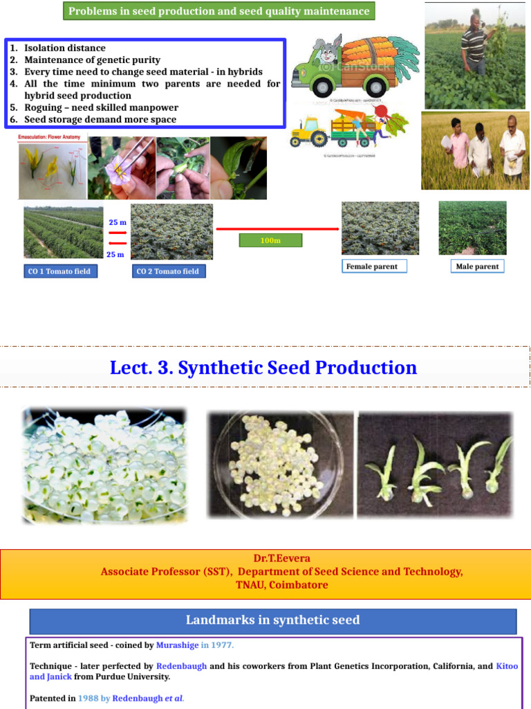 Challenges in Seed Production and Quality | PDF | Seed