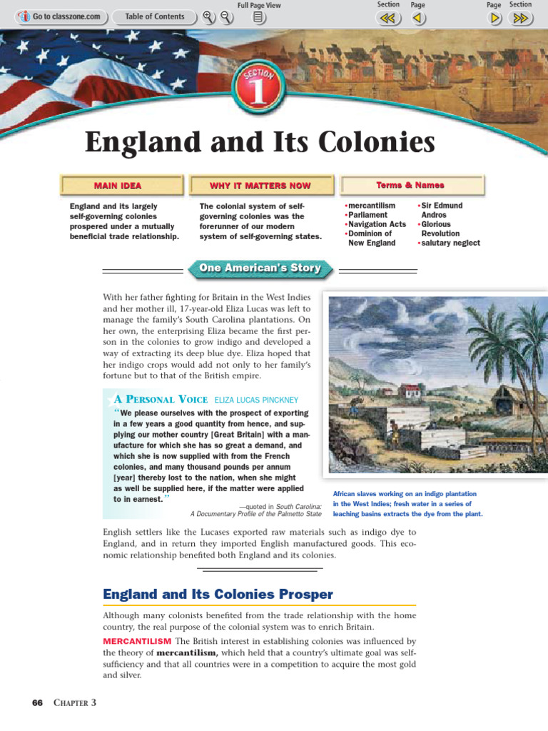 Indigo Cultivation in Southern Colonies | PDF | Dominion Of New England ...