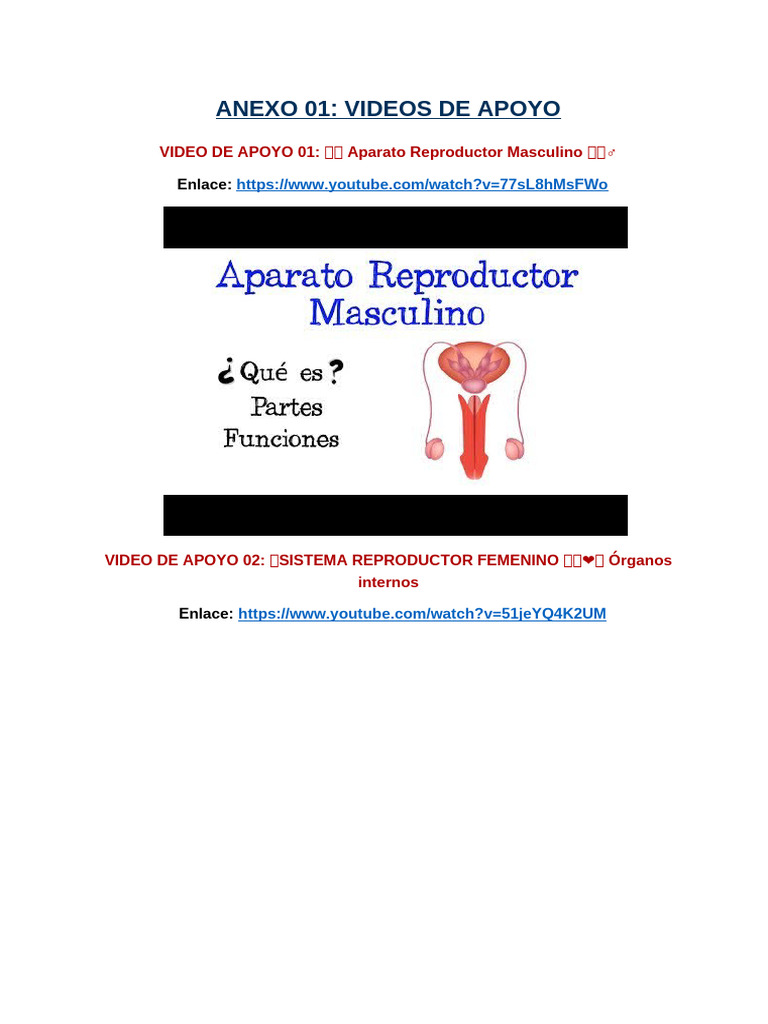 Anexo 1 - Unidad 6 - 4° - Cyt - 2025 | PDF