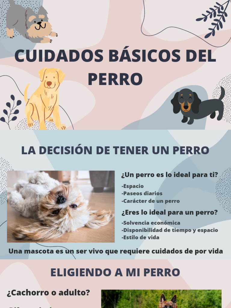 Cuidados Básicos Del Perro PDF | PDF | Perros