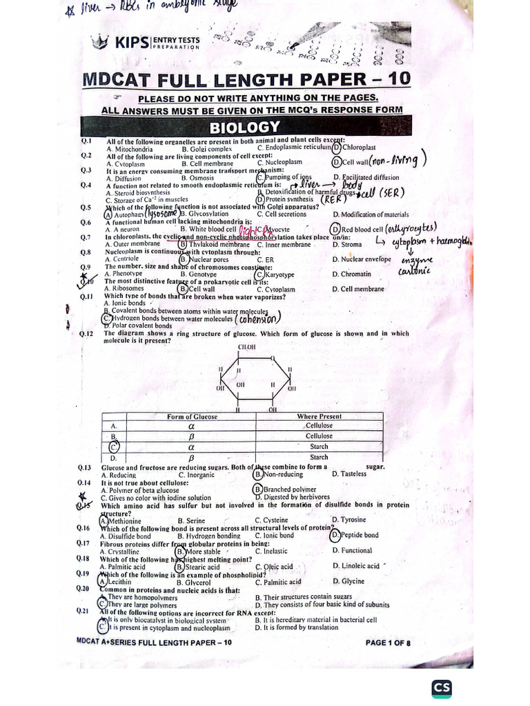 Kips Final Flps | PDF