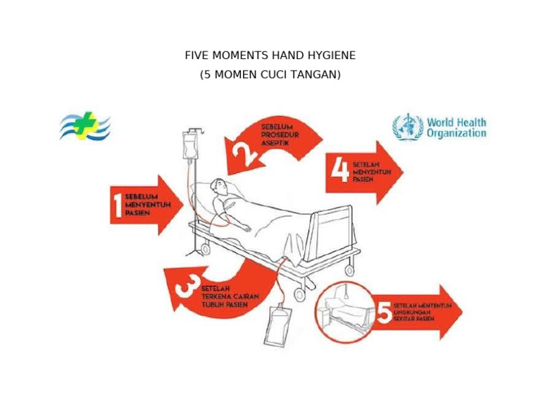 Five Moments Hand Hygiene | PDF