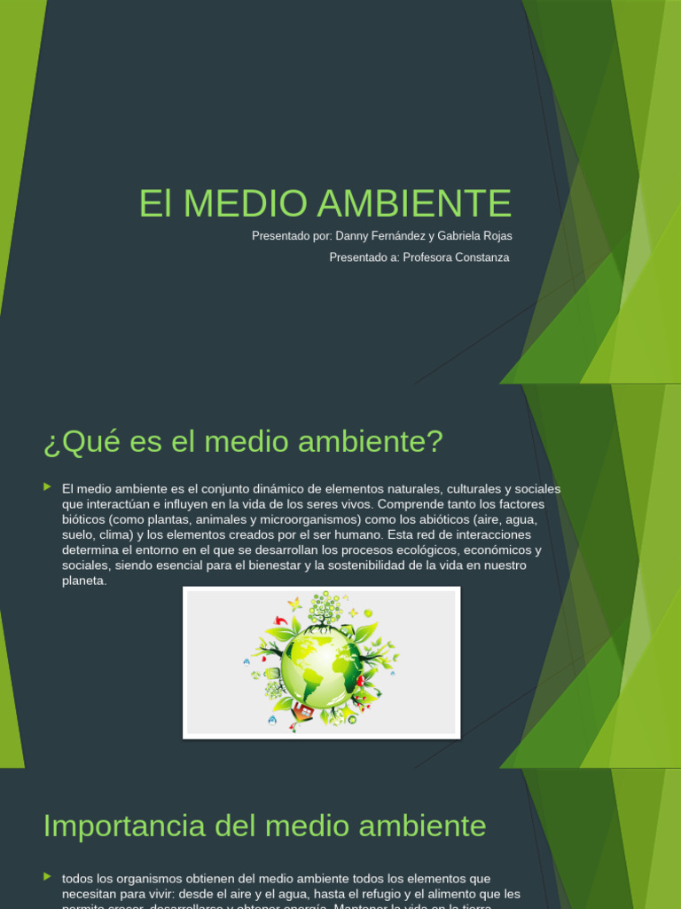 Trabajo Powerpoint Danny Fernandez y Gabriela Rojas 11B | PDF | Entorno ...
