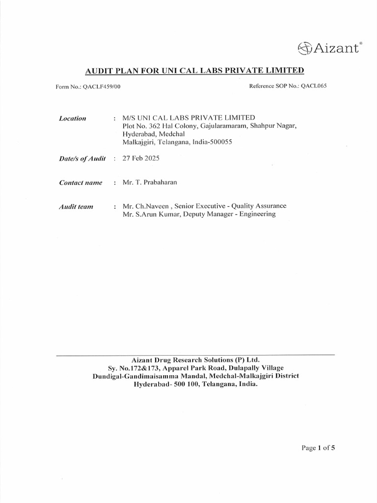 Audit Plan | PDF