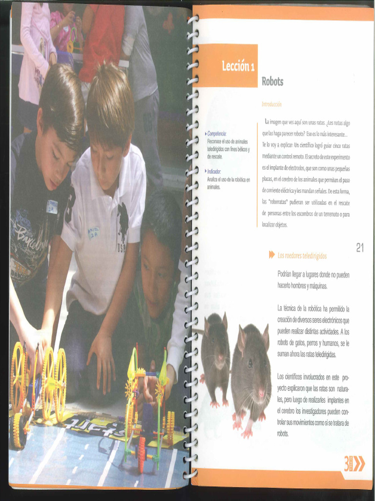 3ro Primaria | PDF