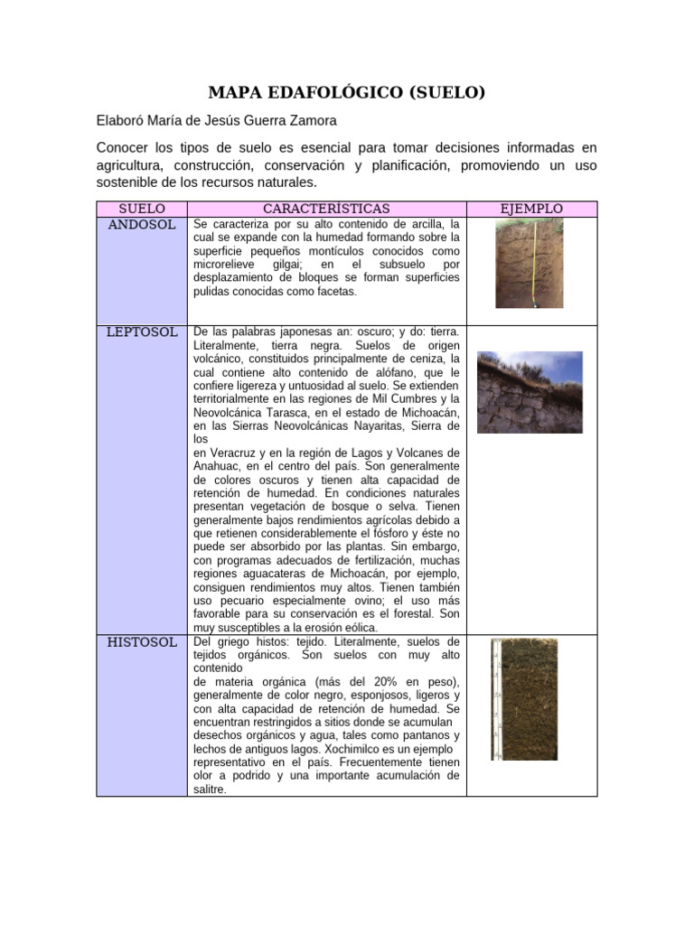 Mapa Edafológico | PDF | Suelo | Los bosques