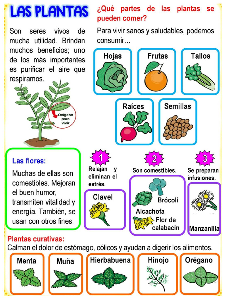 f1 Com Semana 4 - Unidad 5 | PDF