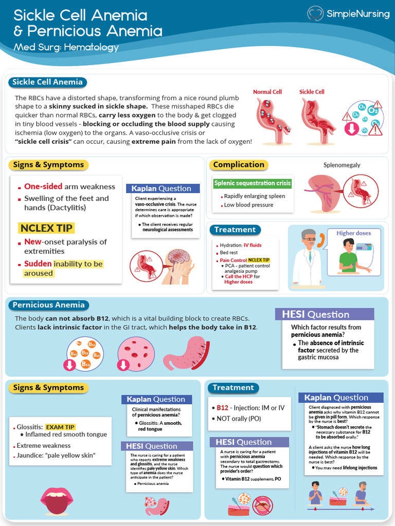 3.2 Sickle Cell Anemia & Pernicious Anemia | PDF | Vitamin B12 | Anemia