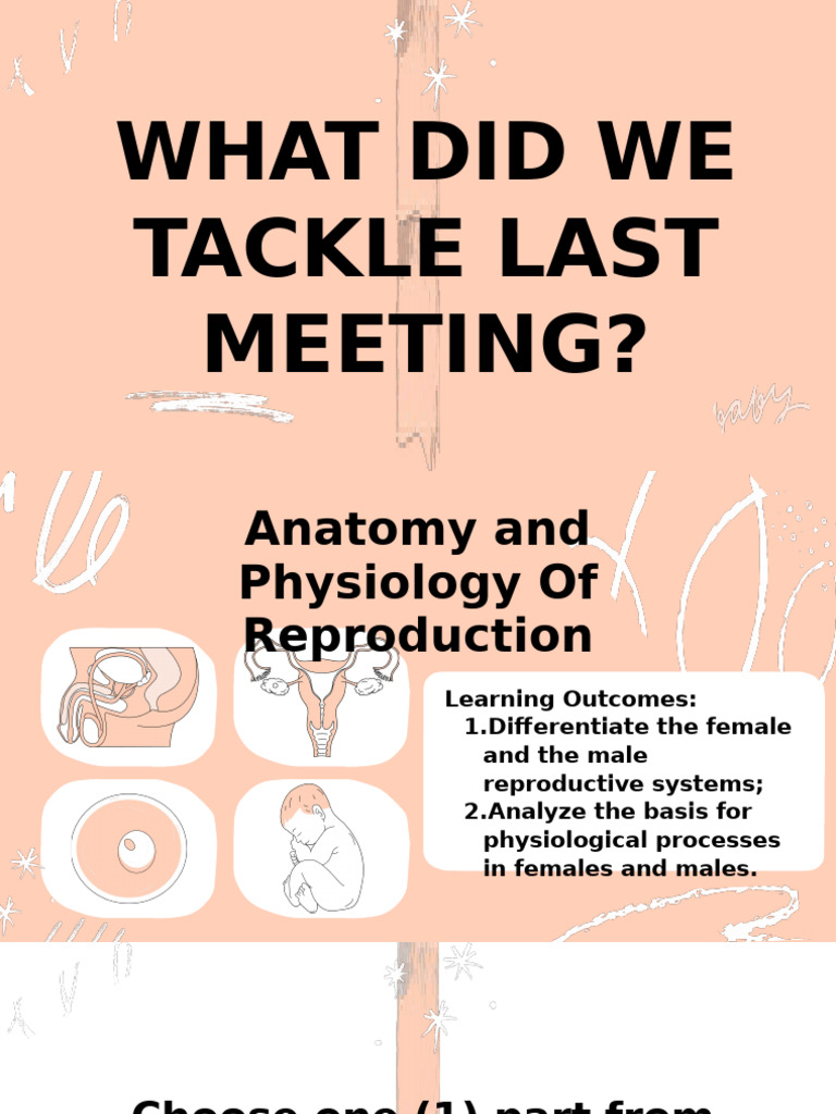 Anatomy of Reproductive Systems Explained | PDF | Menstrual Cycle | Ovary