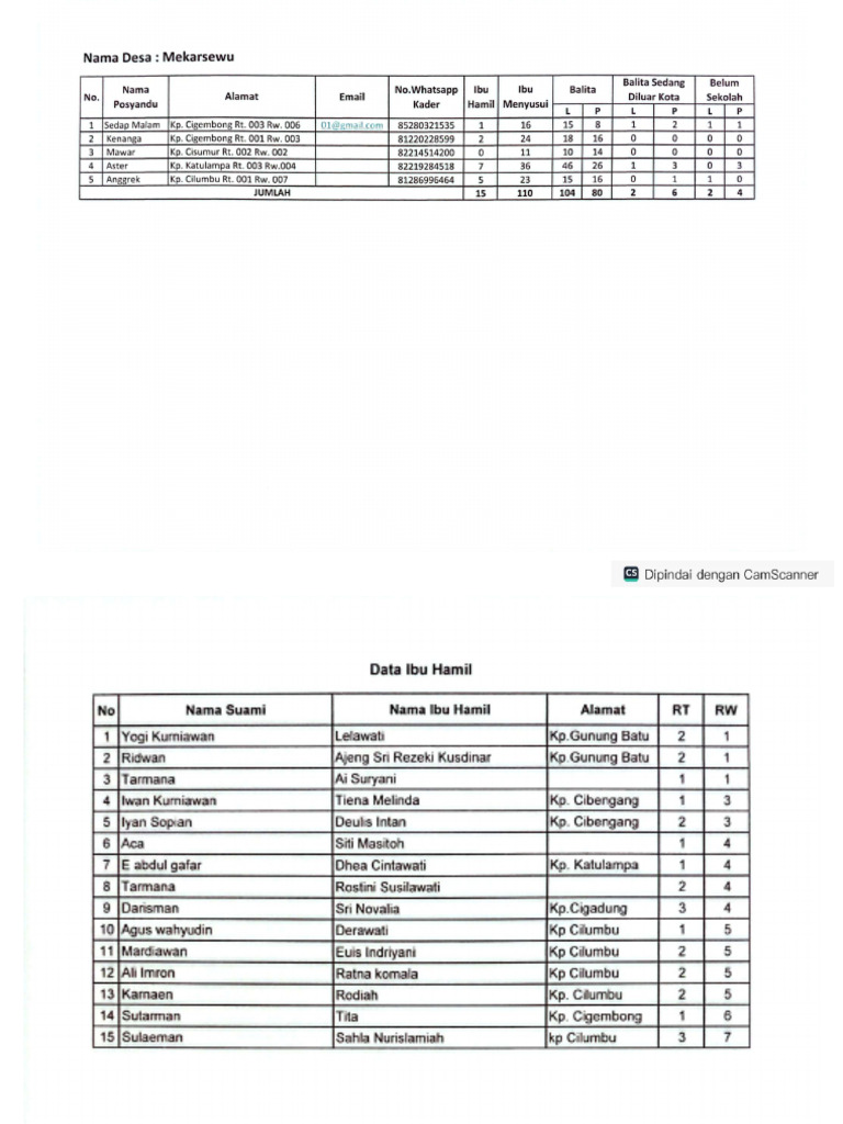 Data Bumil, Busui, Dan Balita Desa Mekarsewu | PDF