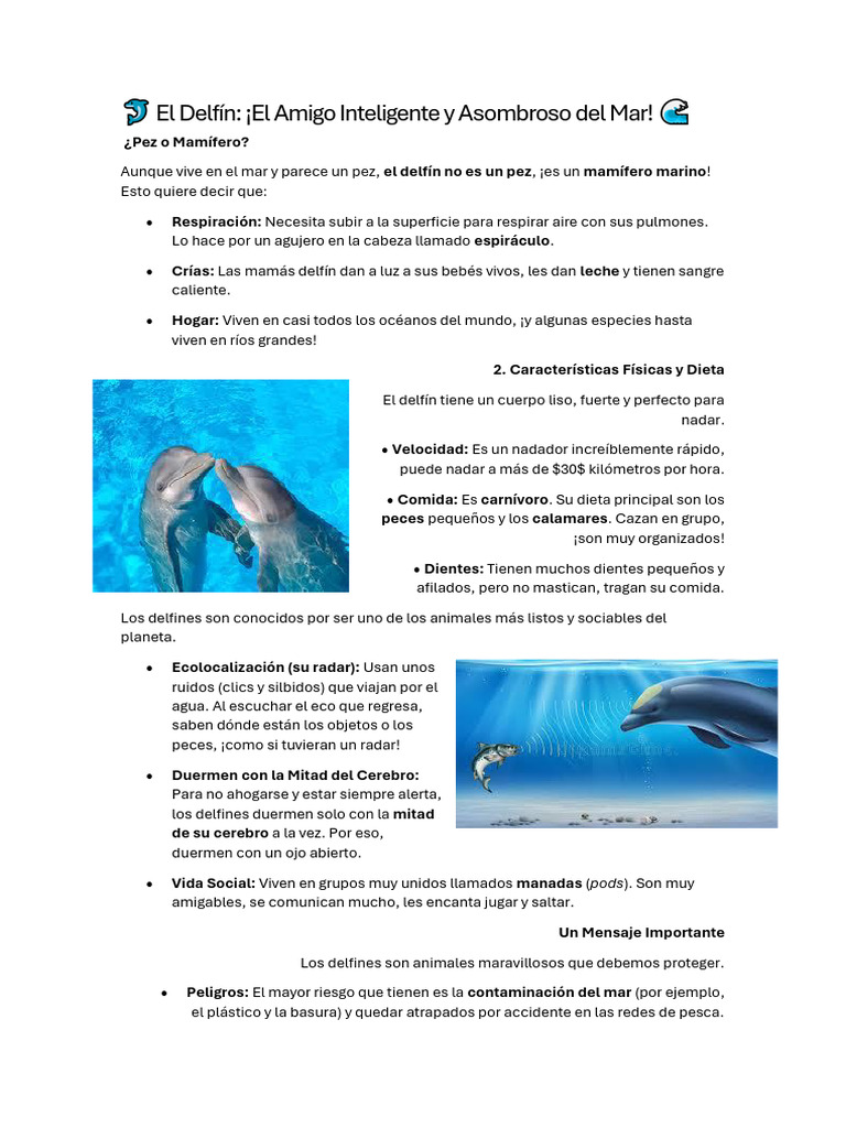 ? El Delfín | PDF | Pescado | Zoología