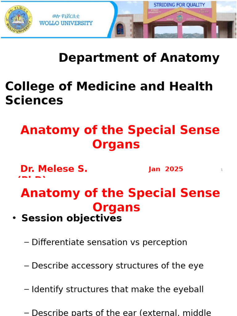 Gross Anatomy and Histology of Special Sense Organs | PDF | Retina | Ear