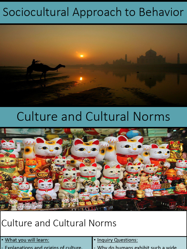 Understanding Cultural Norms and Conformity | PDF | Conformity | Cognition
