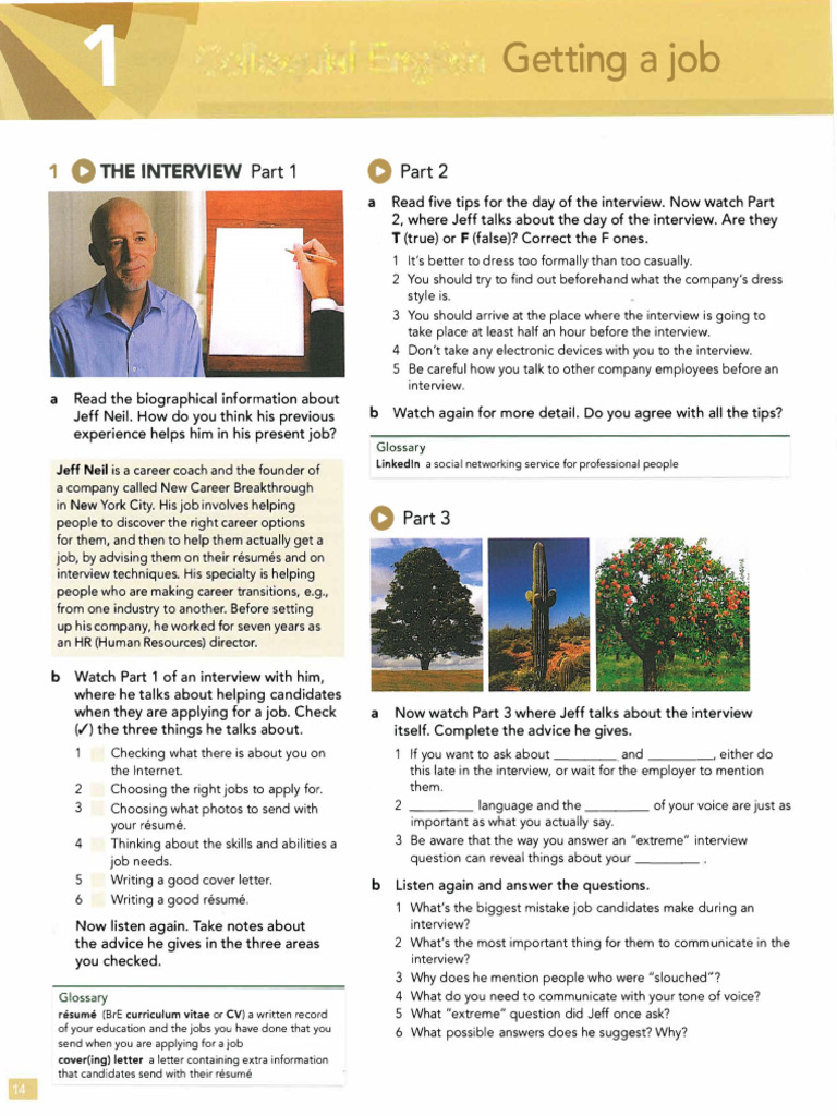 Job Interview | PDF