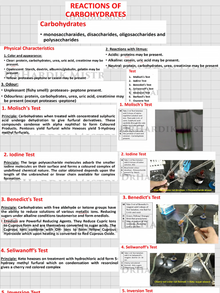 Biochemistry Practical | PDF