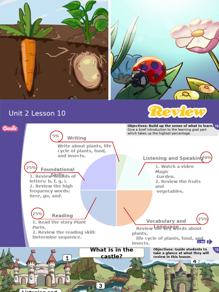 Plant Life Cycle and Vocabulary Lesson | PDF | Vocabulary | Learning