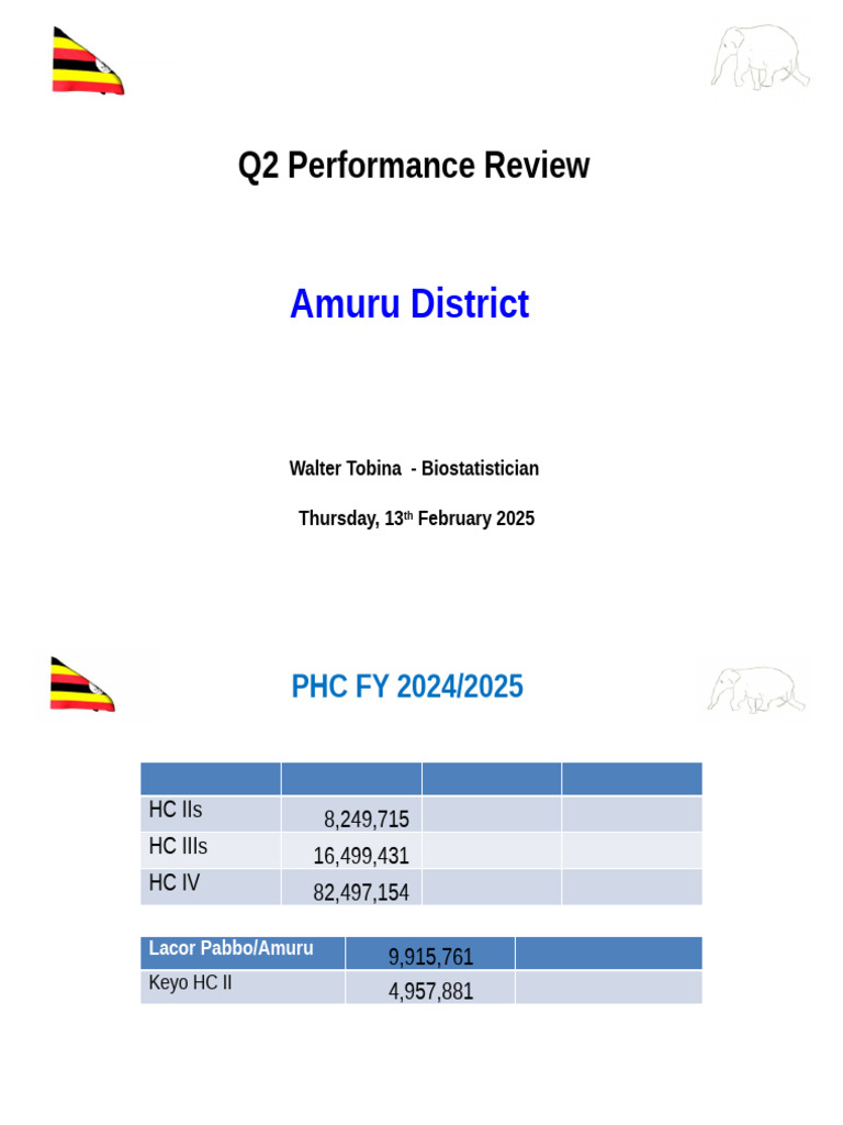 Amuru Q2 Performance Review Oct - Dec 2024 | PDF | Measles | Immunology