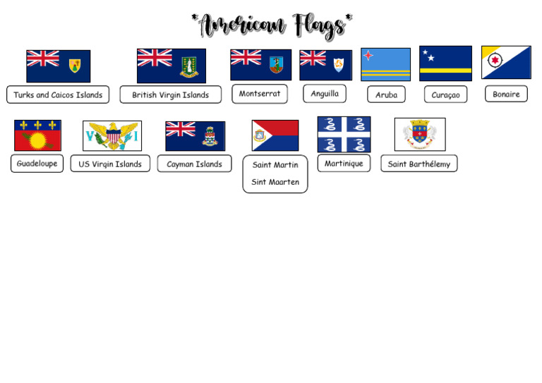 American Flags'' | PDF