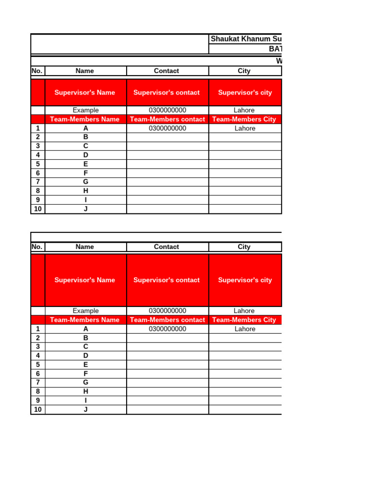 Evaluation Report-Shaukat Khanum Summer Volunteer Program 2025 | PDF