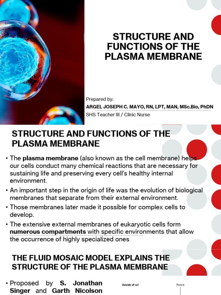 GenBio1 Lecture - Structure and Functions of The Plasma Membrane The ...