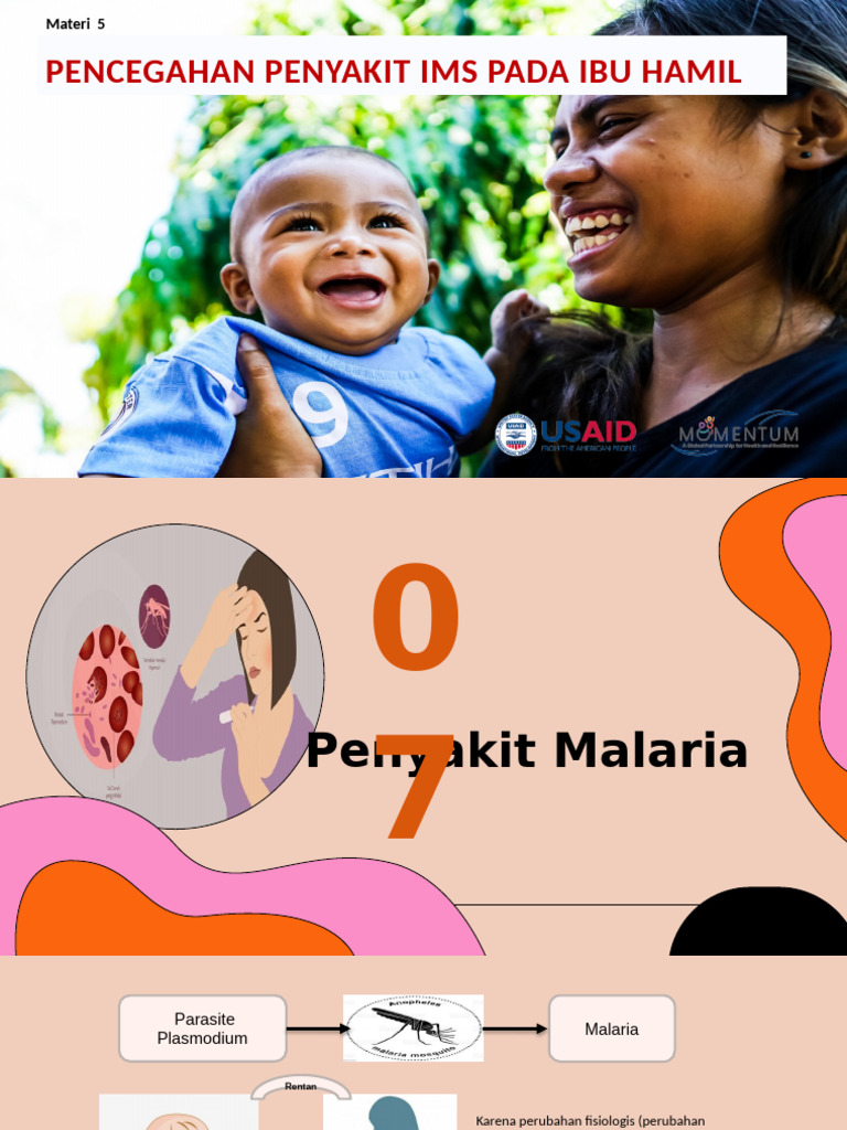 Materi Ims | PDF