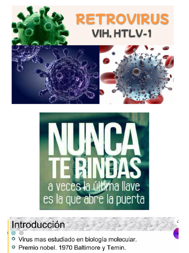 Retrovirus, Lentivirus - Vih | PDF | VIH | Virus