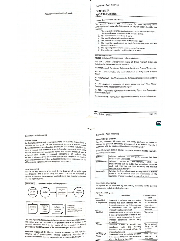 Chapter 14 - Audit Reporting | PDF