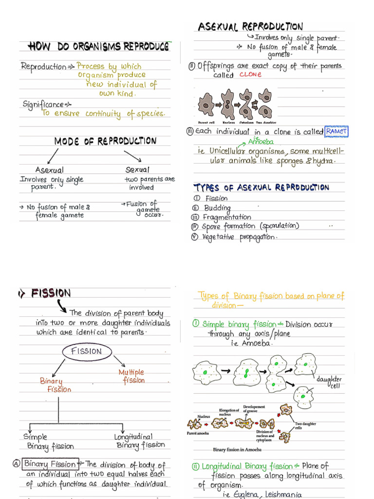 How Do Organism Reproduce 12 | PDF