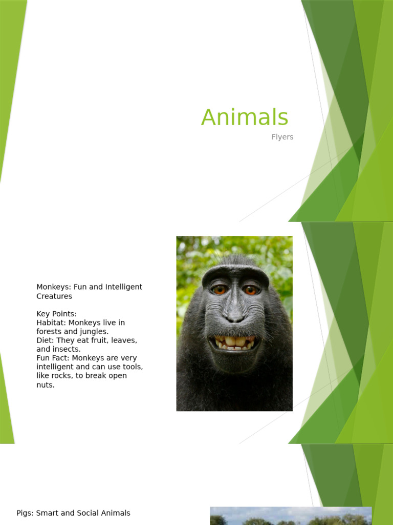 Fascinating Facts About Animals | PDF