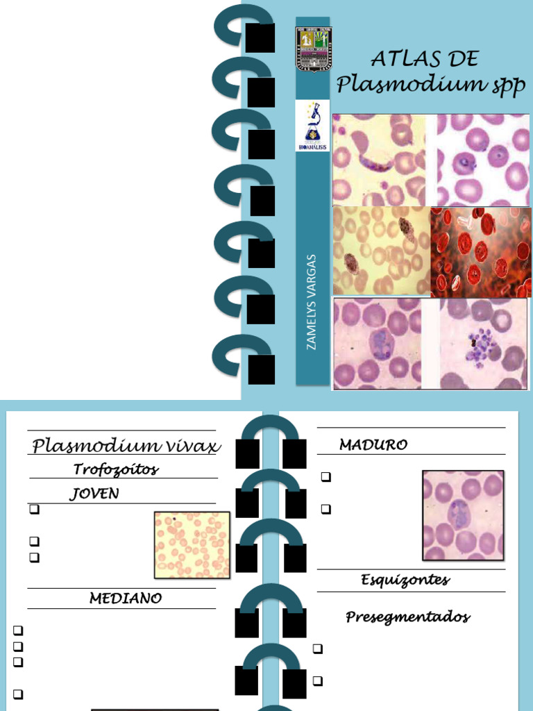 Atlas de Plasmodium spp. | PDF | Plasmodium Falciparum | Plasmodium