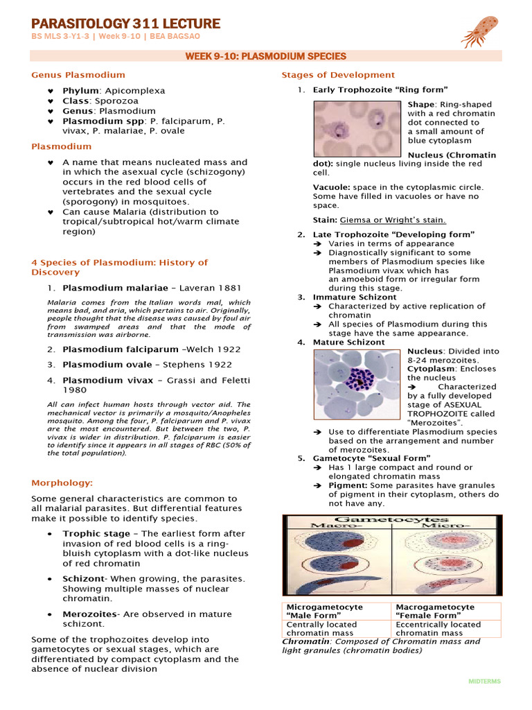 Lec 9 10 Plasmodium Species | PDF | Plasmodium | Plasmodium Falciparum