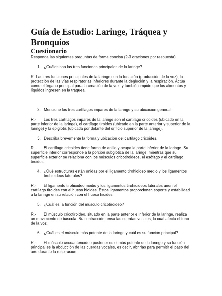 Guía de Estudio Laringe Traque y Bronquios | PDF | Laringe | Cabeza y ...